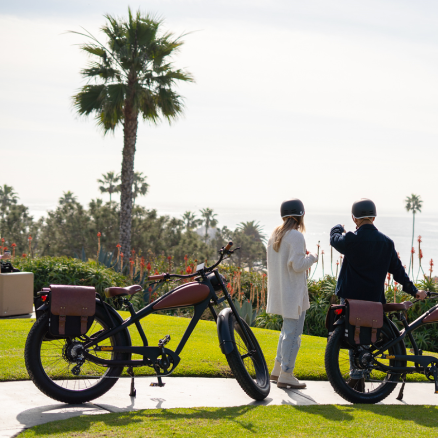 Revi Electric Bikes – BackToModern